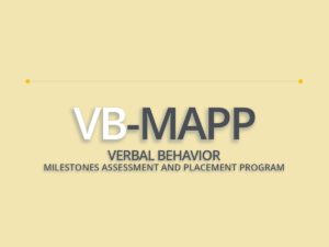 Verbal Behavior Milestones Assessment and Placement Program